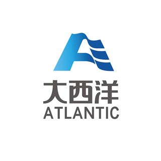 ATLANTIC TECHNOLOGY LIMITED - Company Profile